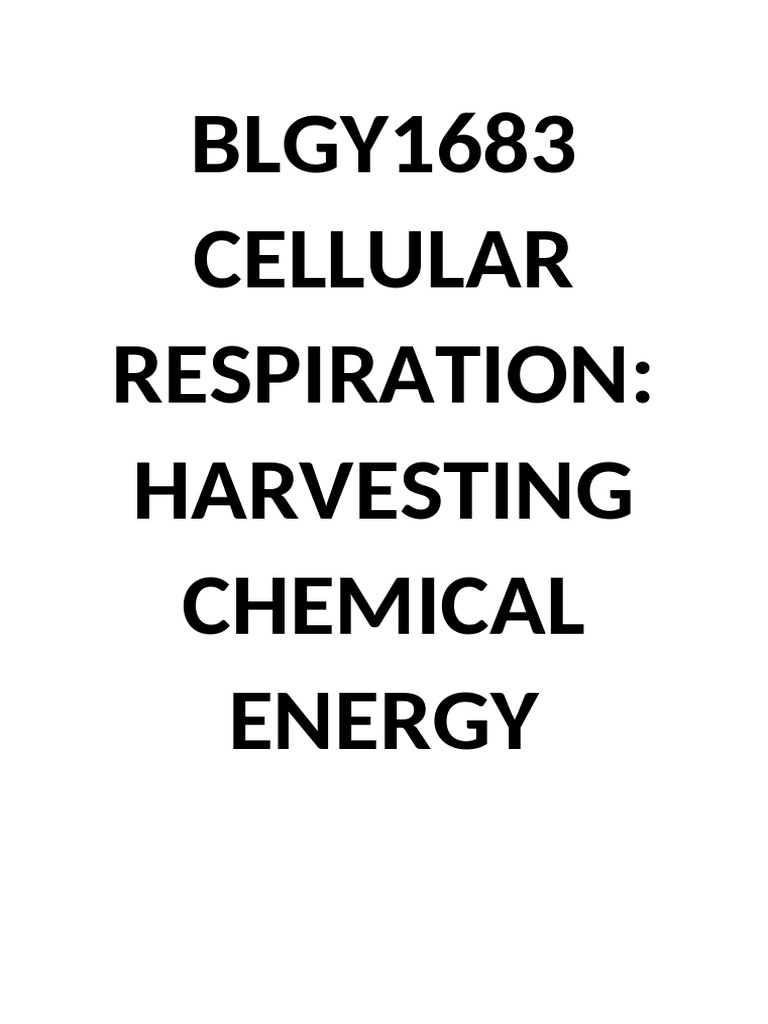 Cellular Respiration Explained: ATP Production | PDF | Cellular Respiration | Wellness