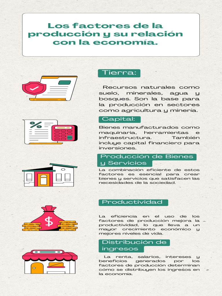 Infografía Conceptos de Contabilidad Ilustrado Verde | PDF