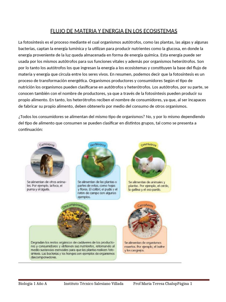 Flujo de Materia y Energia en Los Ecosistemas | PDF
