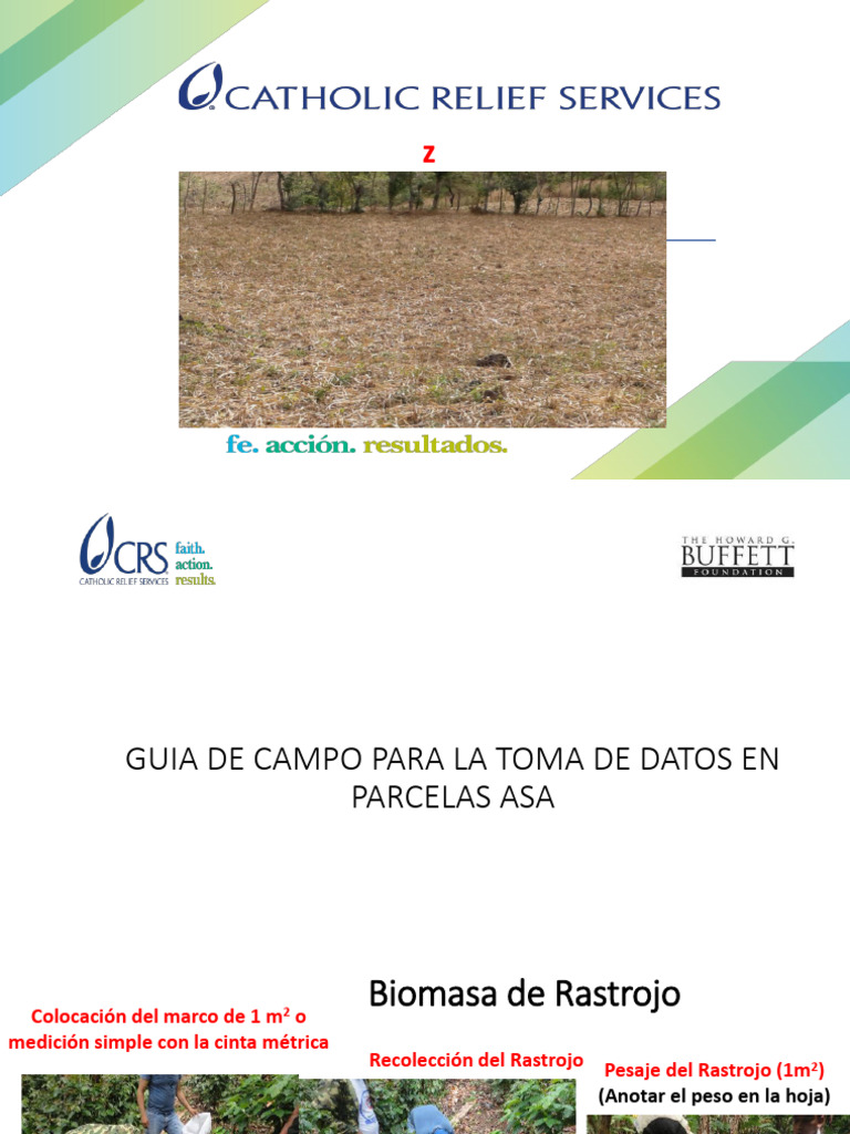 Diagnostico de Suelo | PDF