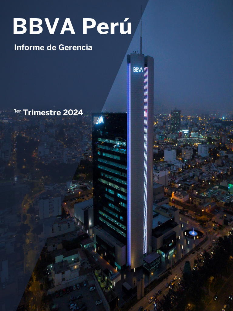 Informe de Gestion 2024 | PDF