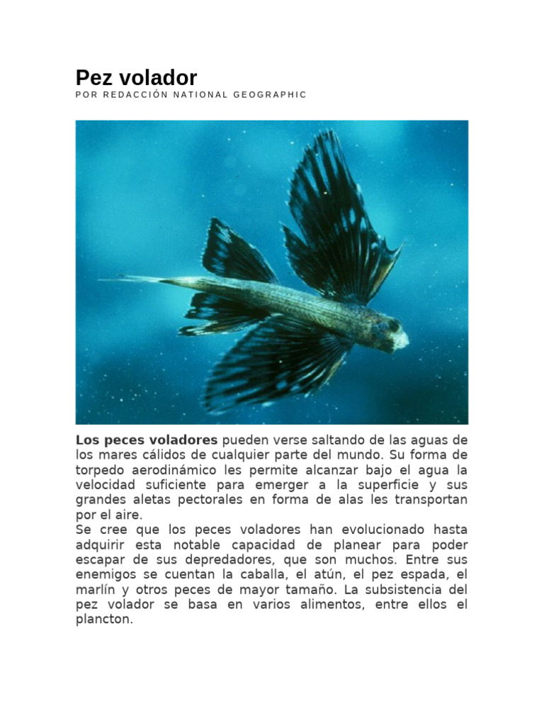 Pez Volador | PDF