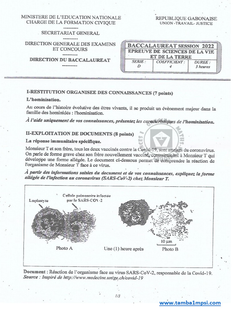 Bac Gabon SVT 2022 Series D | PDF