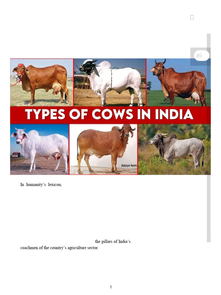 20 Indian Cattle Breeds - Types of Cows in India - Compressed | PDF