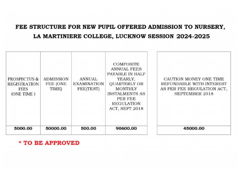 Fee Structure For New Pupil Nursery 2024 2025 | PDF