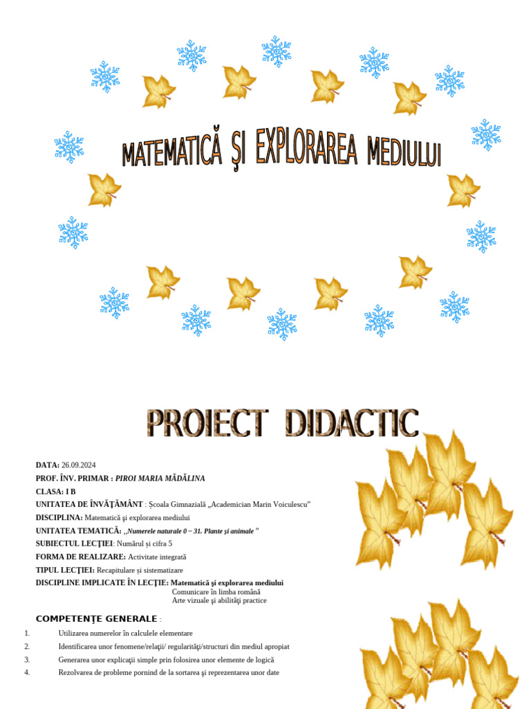 Proiect de Lectie Bun | PDF