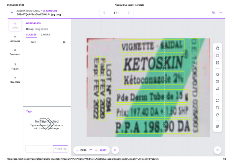 Roboflow Annotation | PDF