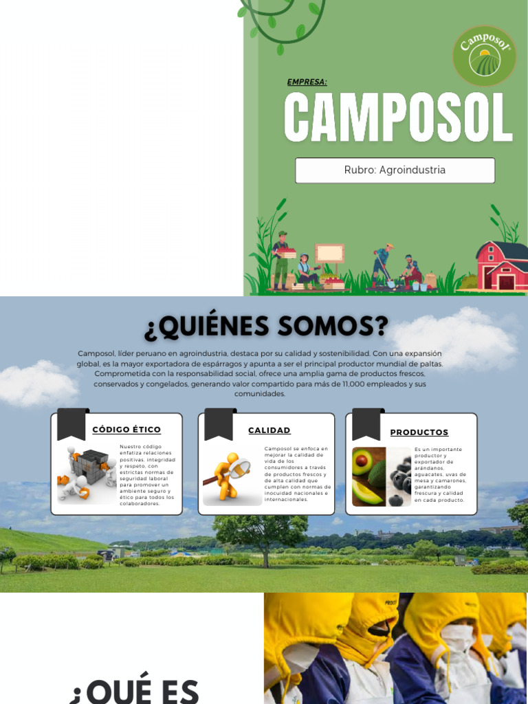 Camposol Exposición | PDF