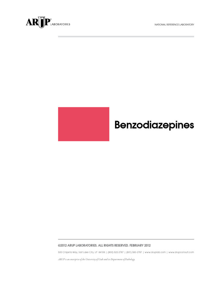 Brochure Whitepaper Benzo | PDF