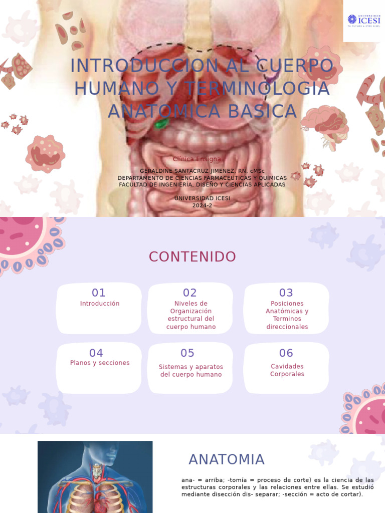 Introduccion Al Cuerpo Humano Pdf
