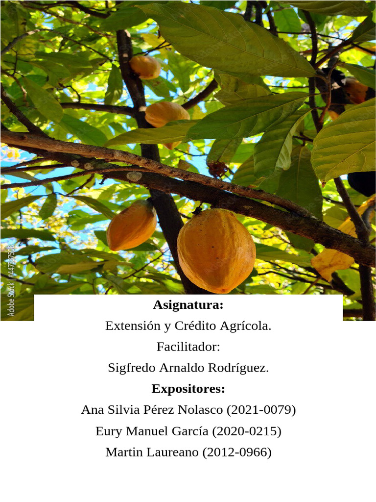 La Poda en Cacao, Rotafolio | PDF