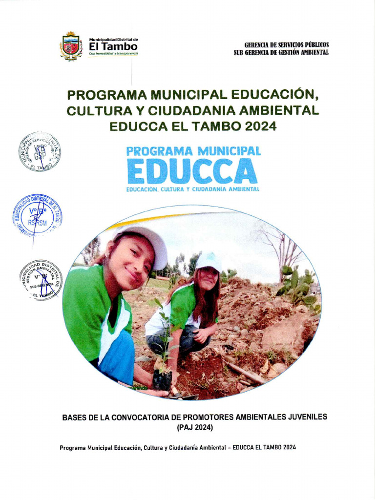 Convocatoria Paj | PDF