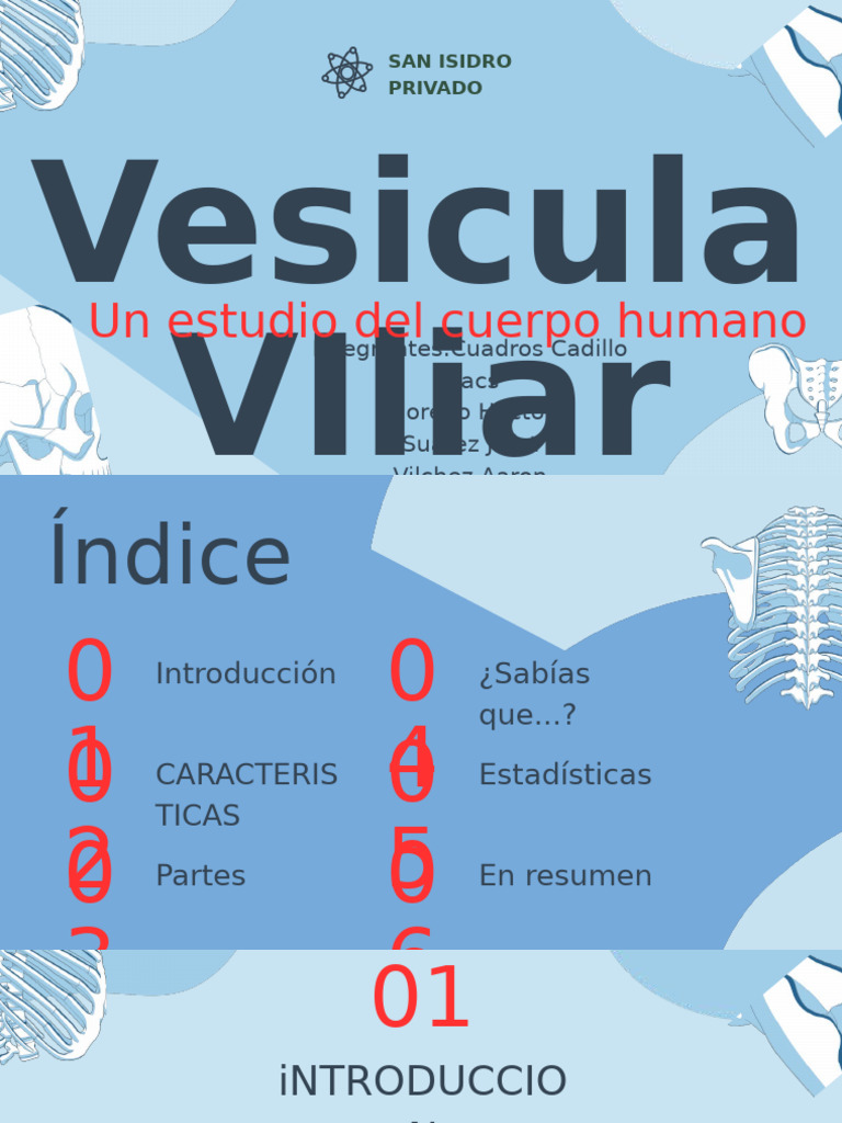 Presentación Diapositivas Anatomía Cuerpo Humano Ilustrativo Simple ...