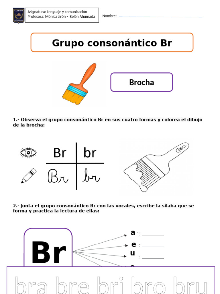 Guía BR | PDF