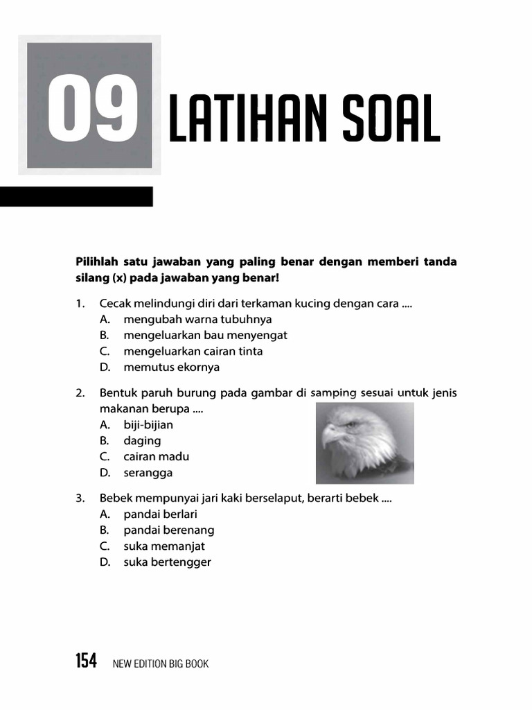 New Edition Big Book IPA SDMI Kelas 4, 5, 6-161 | PDF