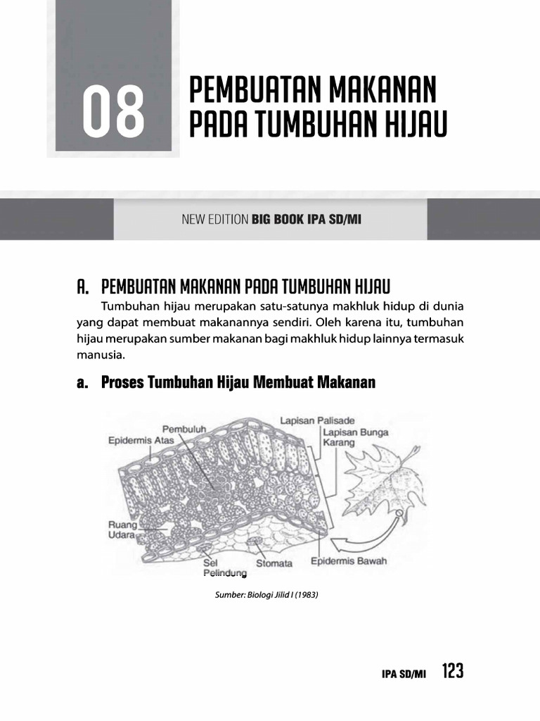 New Edition Big Book IPA SDMI Kelas 4, 5, 6-130 | PDF