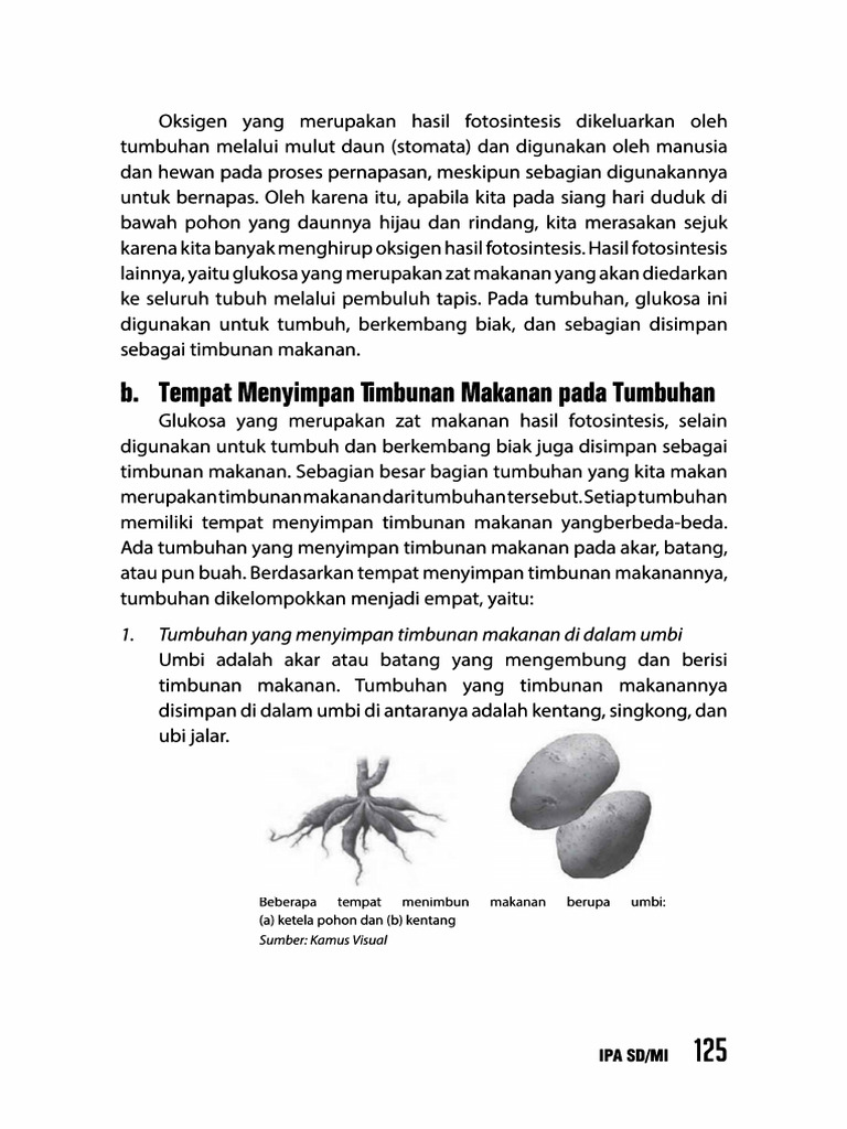 New Edition Big Book IPA SDMI Kelas 4, 5, 6-132 | PDF