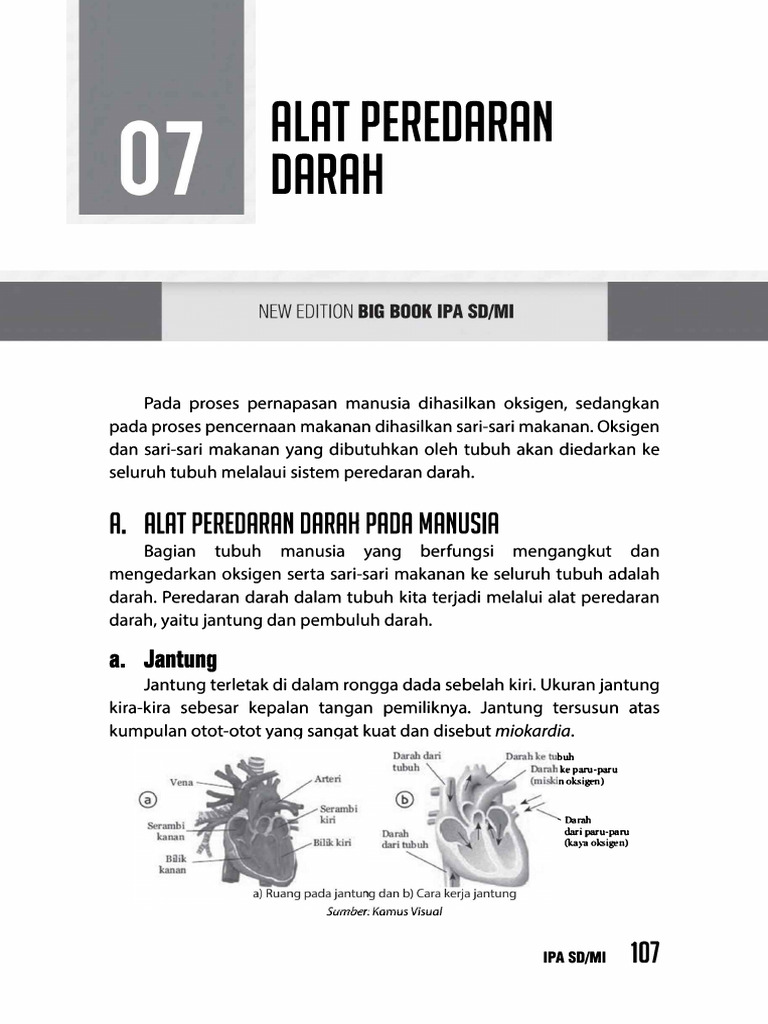 New Edition Big Book IPA SDMI Kelas 4, 5, 6-114 | PDF