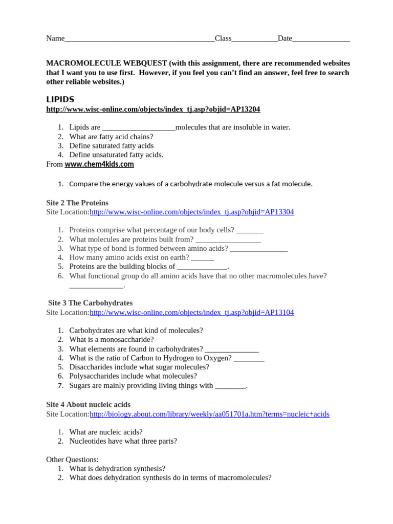 Macromolecule Webquest | PDF