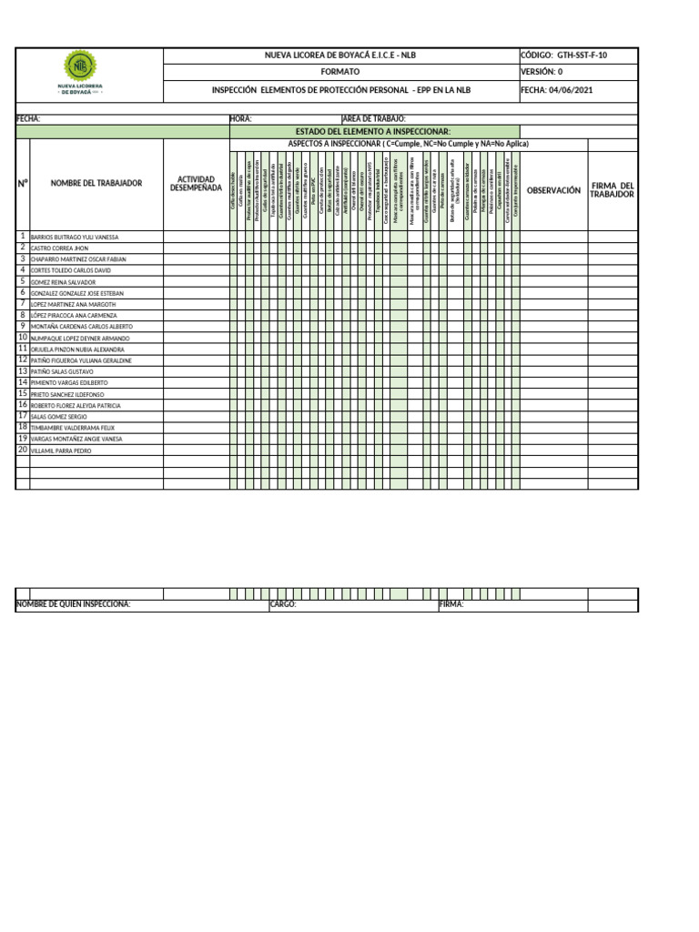 Formato Inspección de EPP - GTH-SST-F-10 | PDF