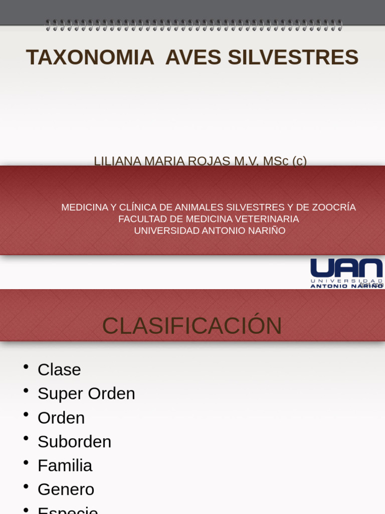 Taxonomia Aves | PDF