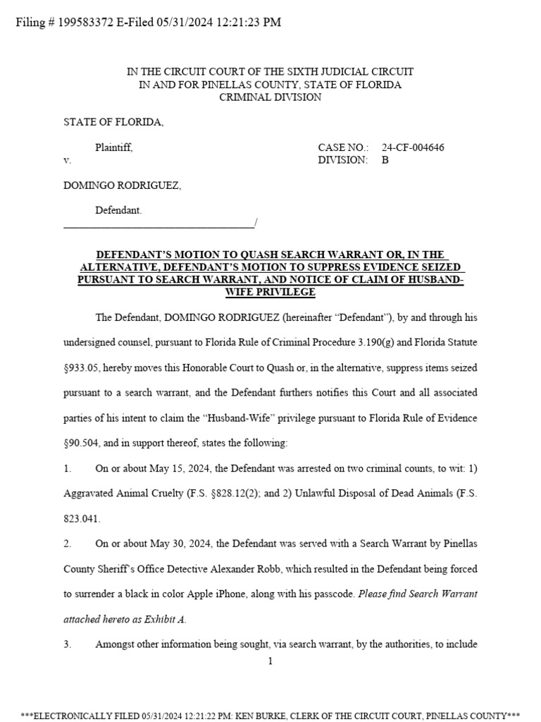 Motion To Suppress | PDF