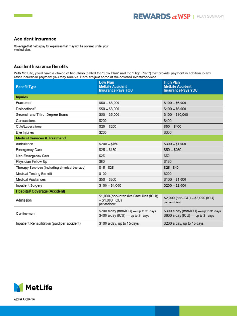 WSP Accident Plan Summary | PDF