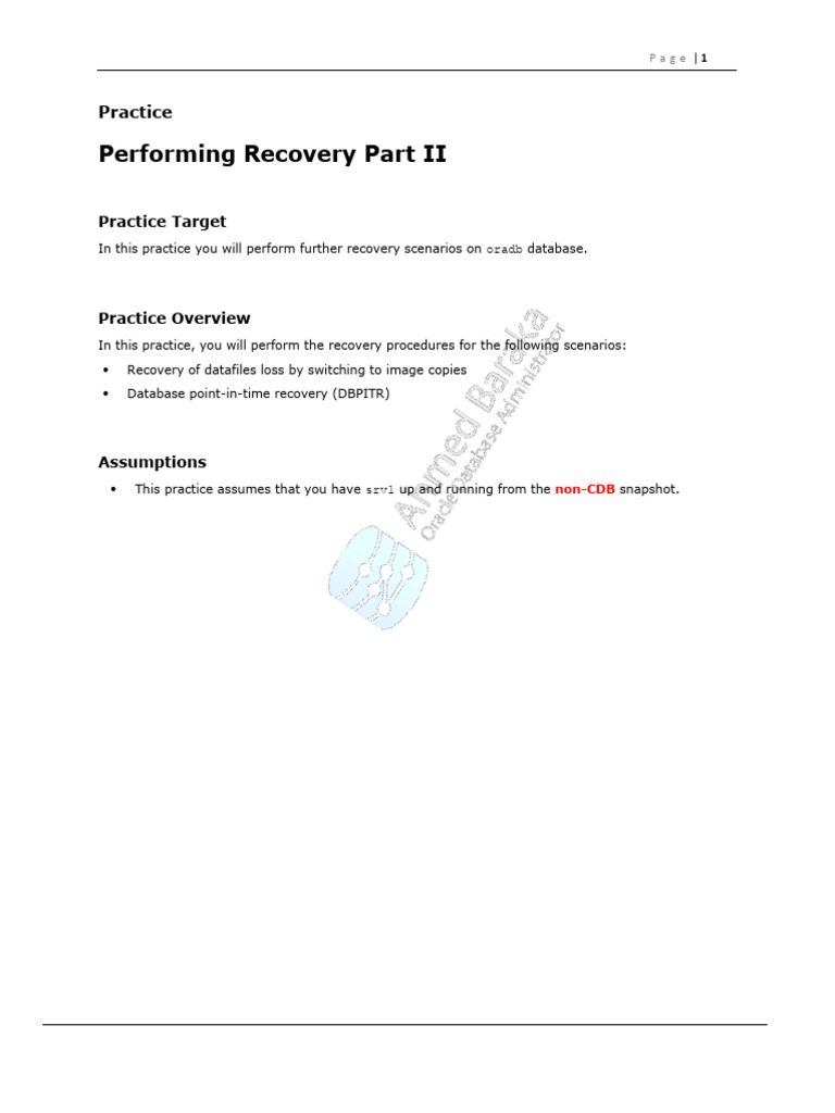 Practice - Performing Recovery Part II | PDF