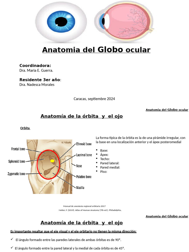 Presentación 1 anatomia del ojo | PDF