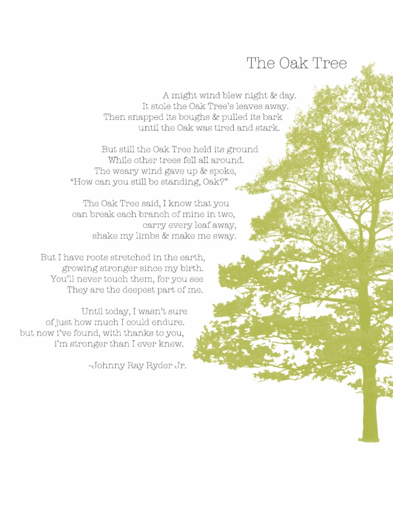 The Oak Tree | PDF