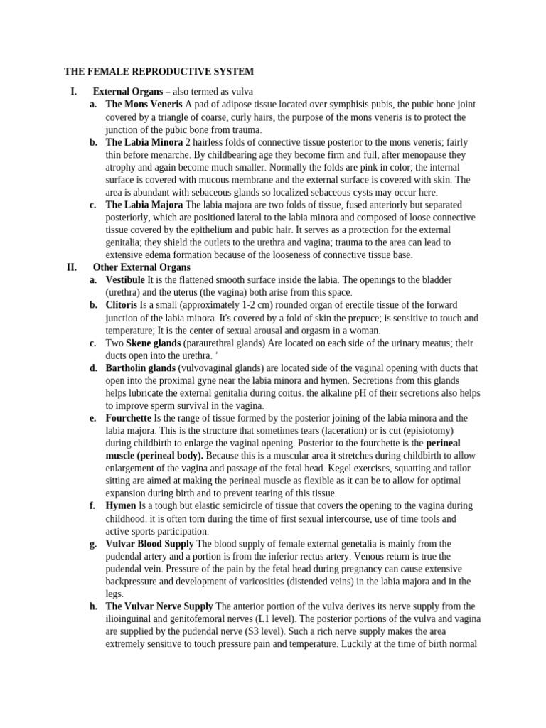 The Female Reproductive System | PDF