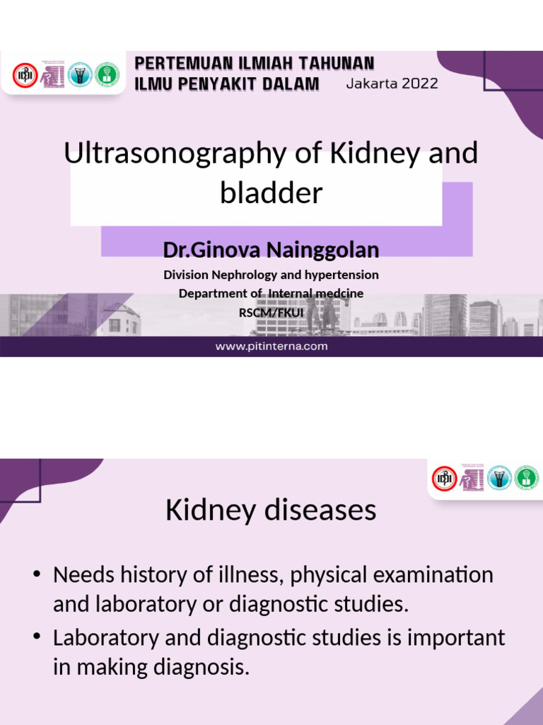 Ultrasonography Ginjal Dan Vesika 2022 | PDF