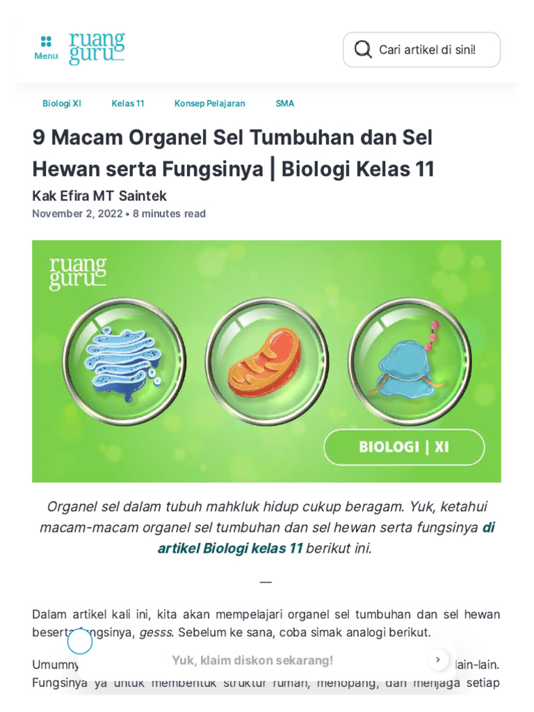 9 Macam Organel Sel Tumbuhan Dan Sel Hewan Serta Fungsinya - Biologi ...
