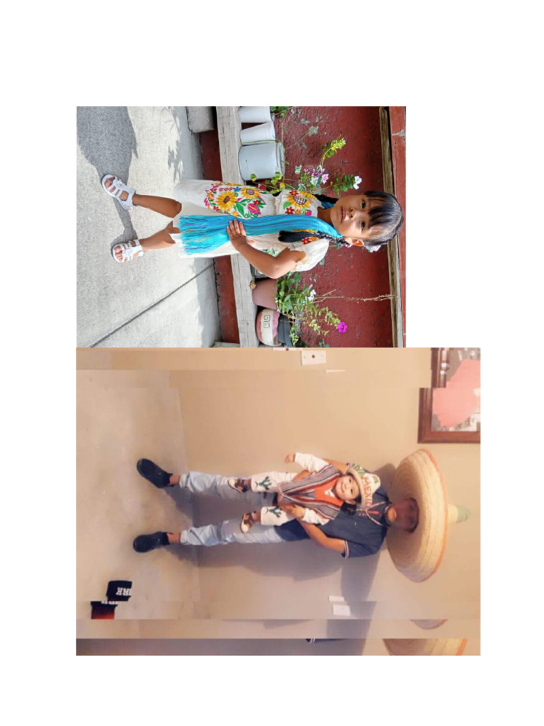 Comida Mexicana | PDF