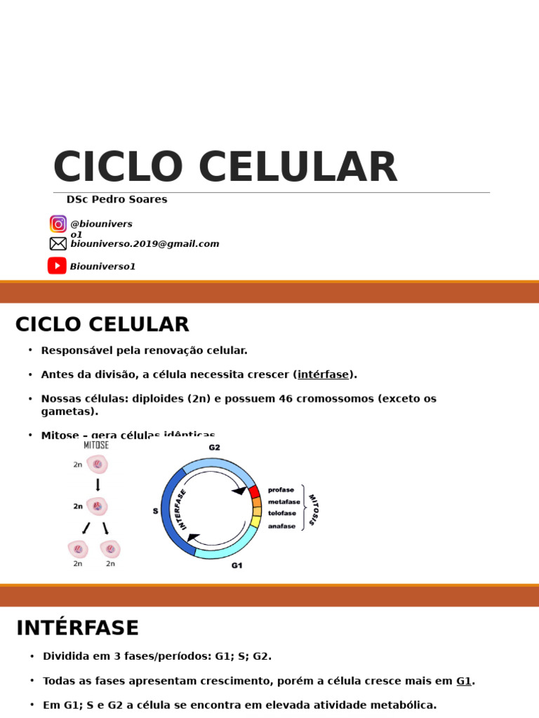 Divisão Celular | PDF
