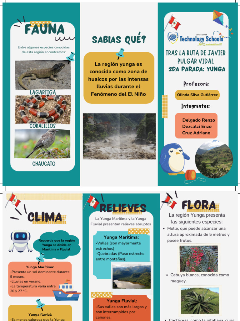 Folleto Tríptico Región Yunga | PDF | Ciencias de la Tierra | Clima