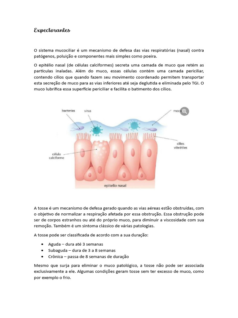 Expectorant Es | PDF