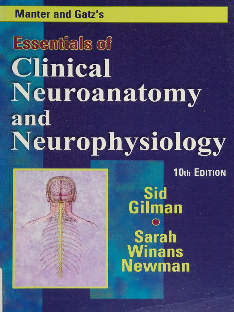 Clinical: Neuroanatomy | PDF