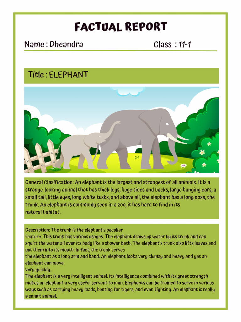 Factual Report | PDF