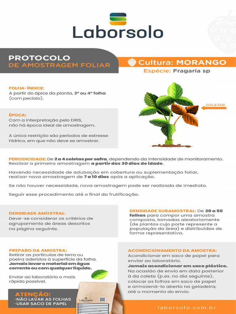 Protocolo Morango | PDF