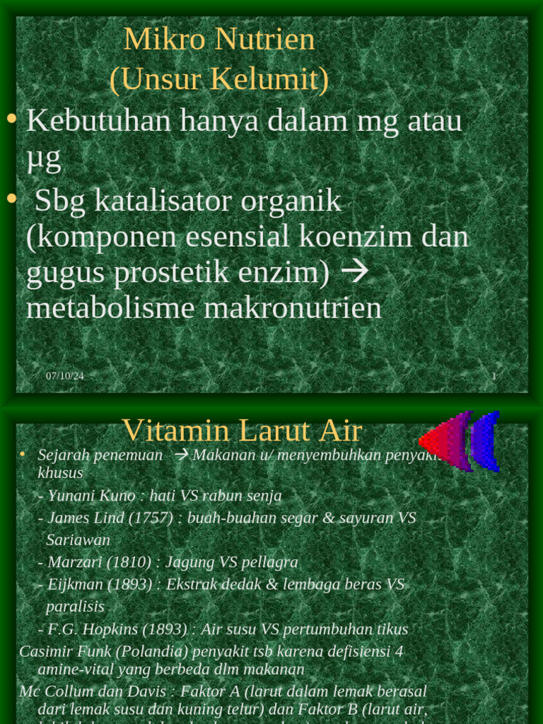 Vit Larut Air | PDF