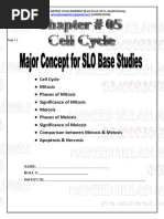 CELF P3 template | PDF | Cognitive Science | Human Communication