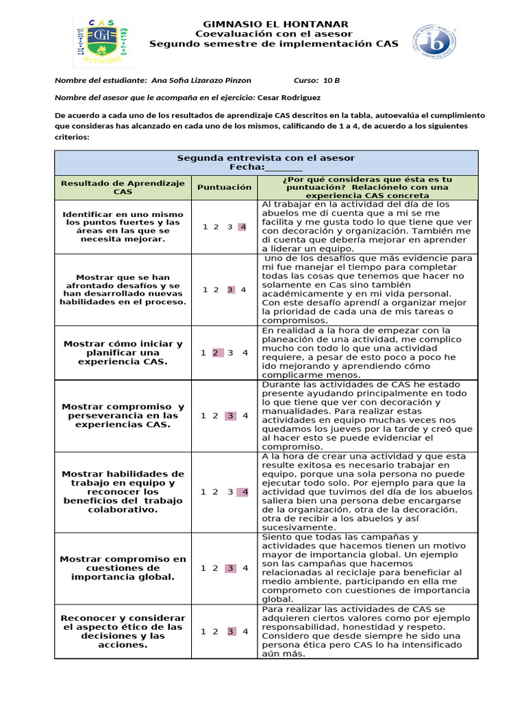 Segunda Entrevista Con El Asesor 2023 | PDF | Creatividad | Crecimiento personal y profesional