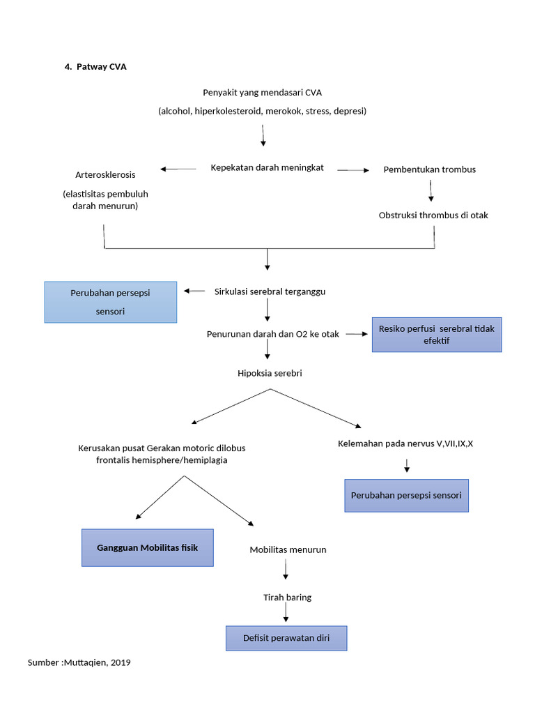 Patway CVA (1) - 1 | PDF