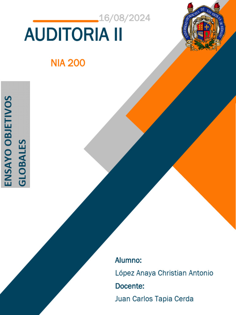 Auditoria 2 Nia 200 | PDF