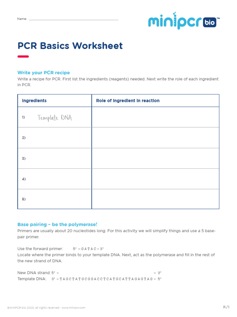 pcr worksheet | PDF