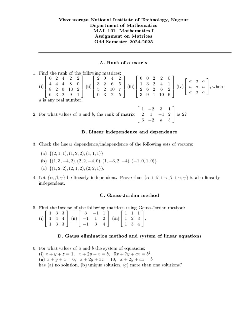 Rev Assingment Matrices | PDF