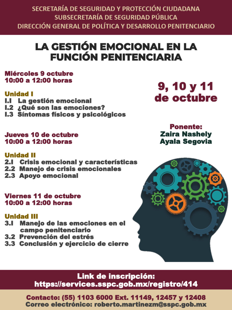 La Gestión Emocional En La Función Penitenciaria Pdf