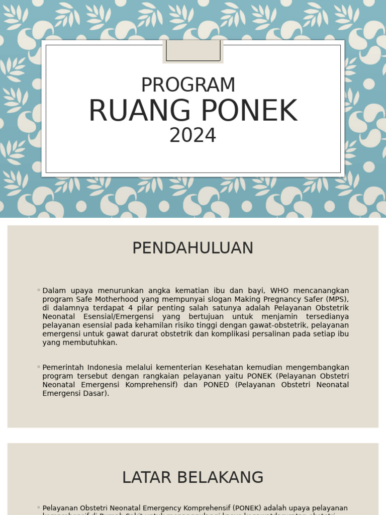 Program Kerja Ponek | PDF