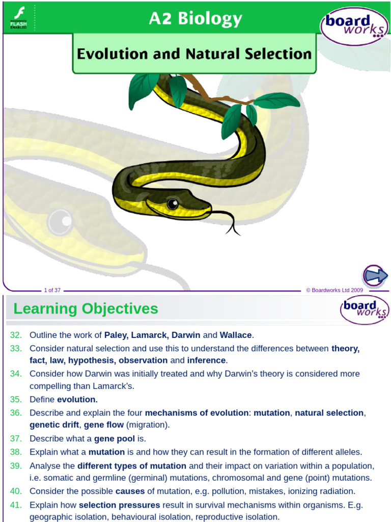 1 of 37 © Boardworks LTD 2009 | PDF